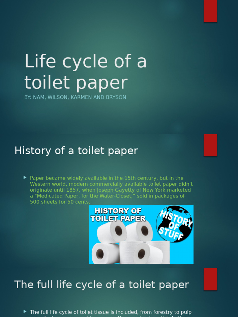 Toilet Paper Life Cycle and Sustainability | PDF | Home & Garden | Art