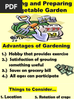 LSU-Ag Planting Guide | PDF | Vegetables | Fertilizer