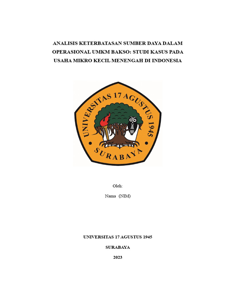 Analisis Keterbatasan Sumber Daya Dalam Operasional Umkm Bakso | PDF