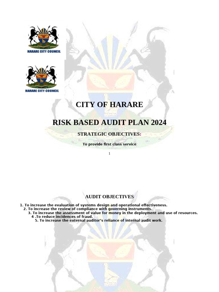 2024 Audit Plan | PDF | Audit | Risk