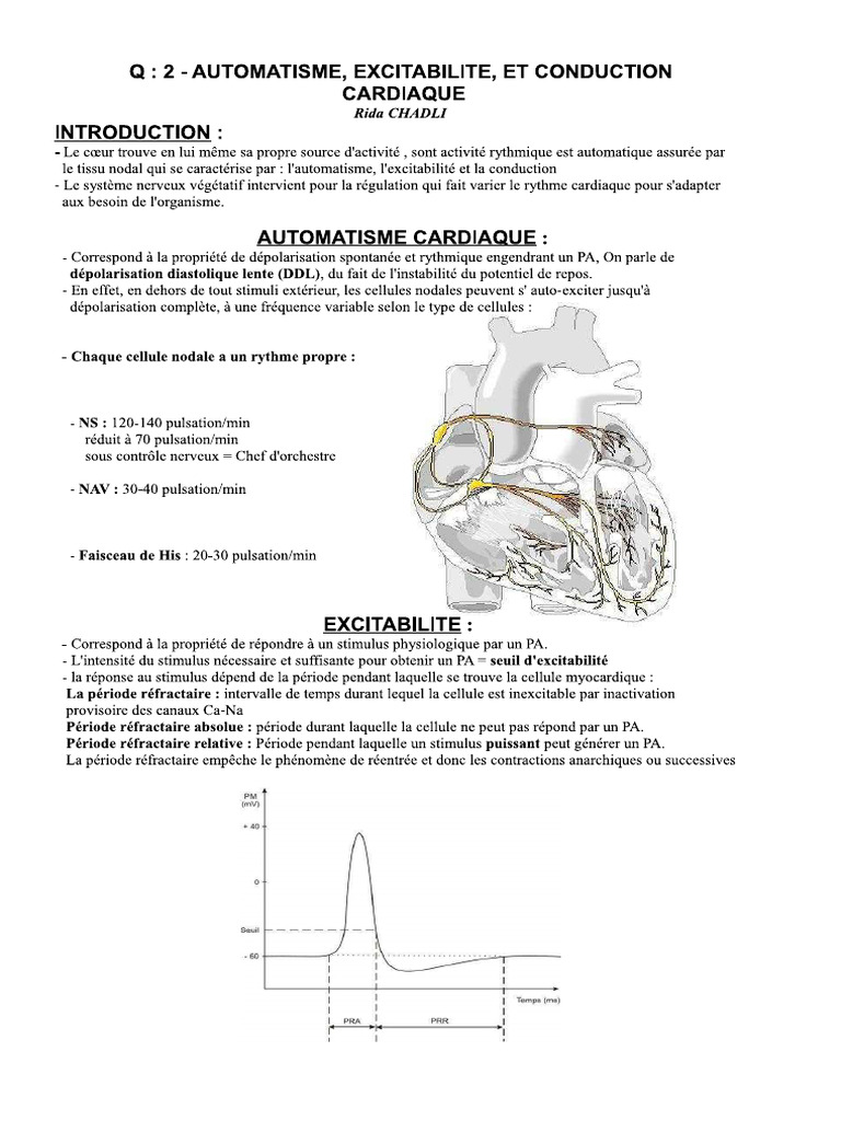 Automatisme Excitabilité Conduction Cardiaque PDF | PDF