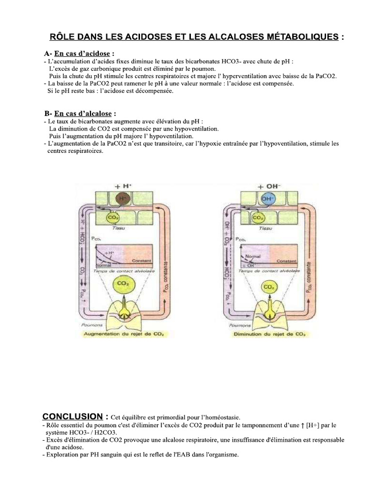 Acidose Alcalose PDF | PDF