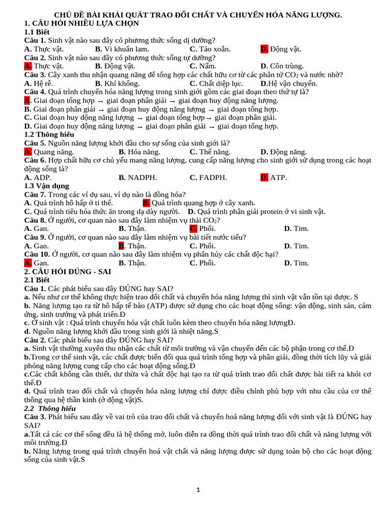 Ôn Tập Gki Lớp 11 Sinh | PDF