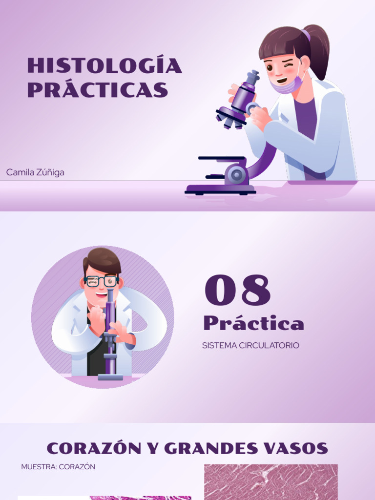 PRACTICA 8 Histología | PDF | Bienestar