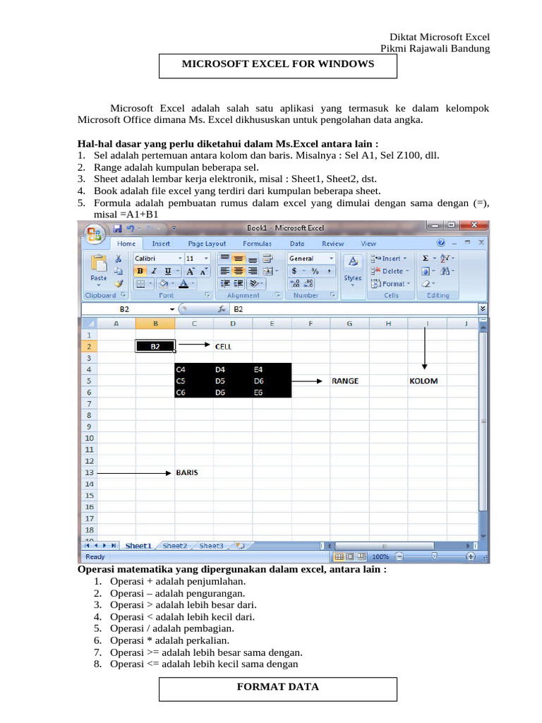 Modul Excel Prisma | PDF