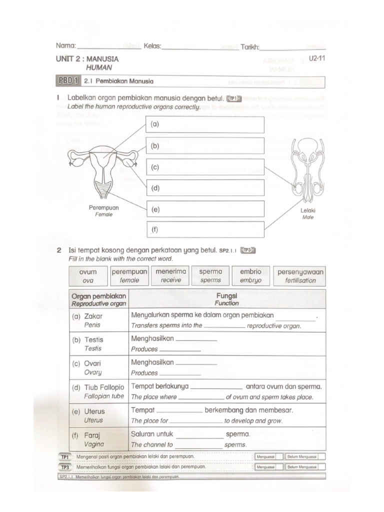 Sains Tahun 6 - Revision - Unit2-Unit4 | PDF