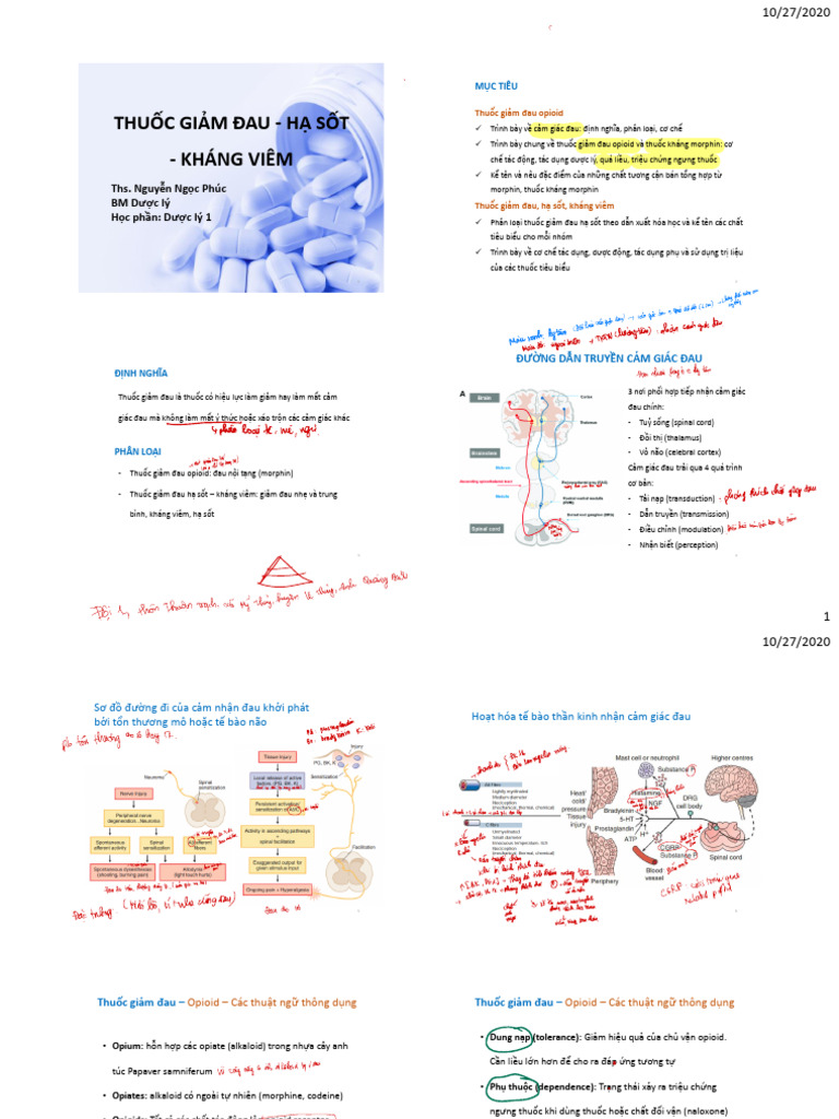 DL1 - Opioid, Nsaid | PDF