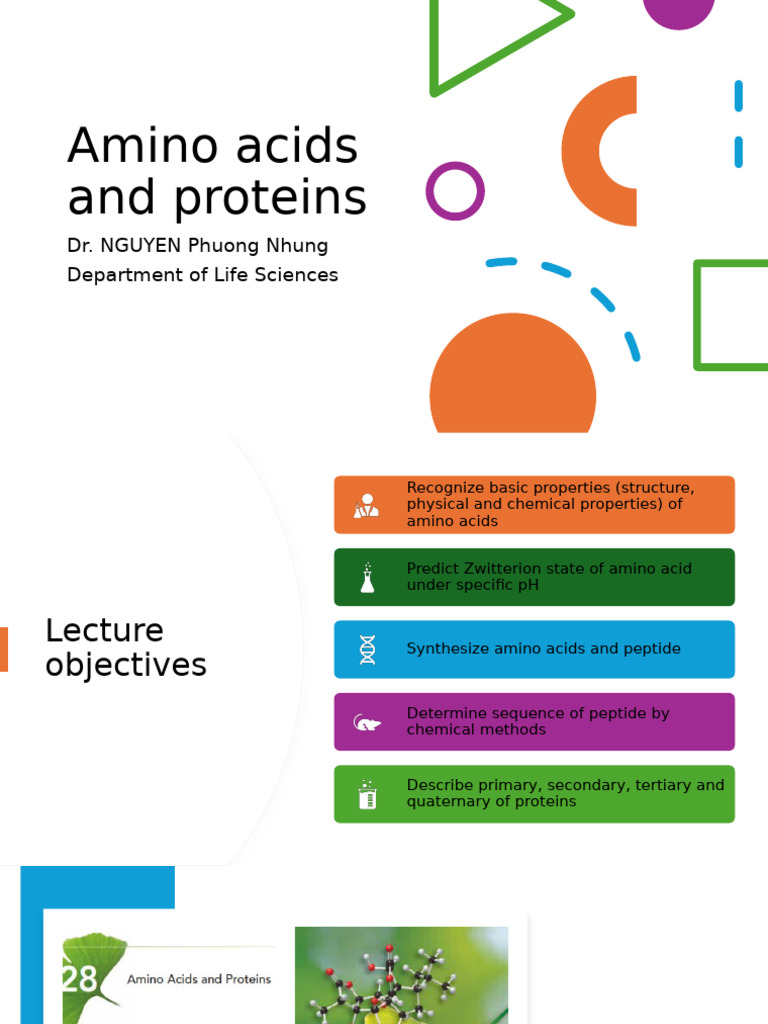 Amino Acids and Protein Structures Guide | PDF | Amino Acid | Acid ...