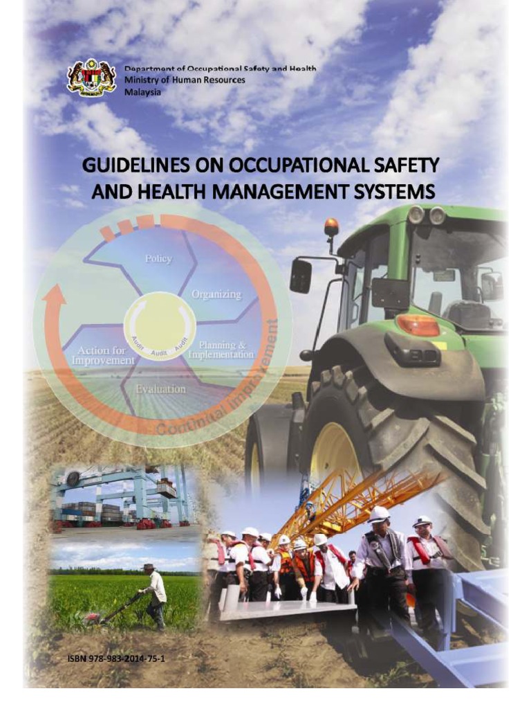 OSH Management Systems Guidelines | PDF | Occupational Safety And ...