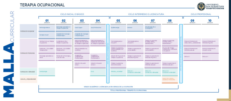 Malla Terapia Ocupacional Uss | PDF | Terapia ocupacional | Psicoterapia