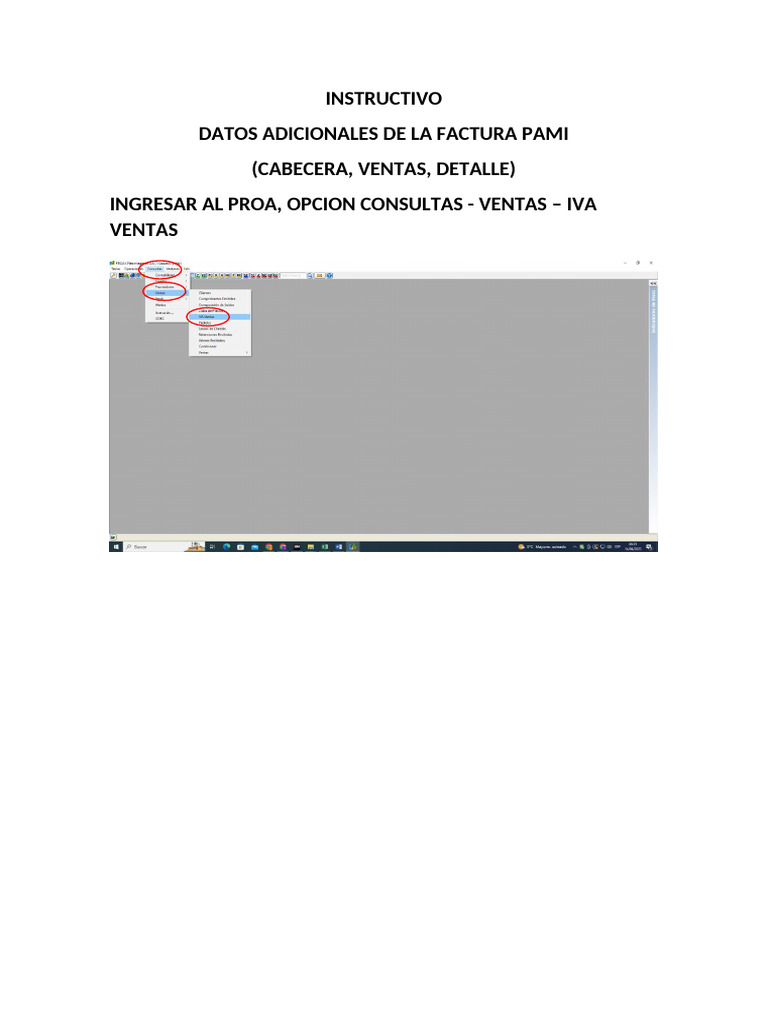 Instructivo Pami | PDF