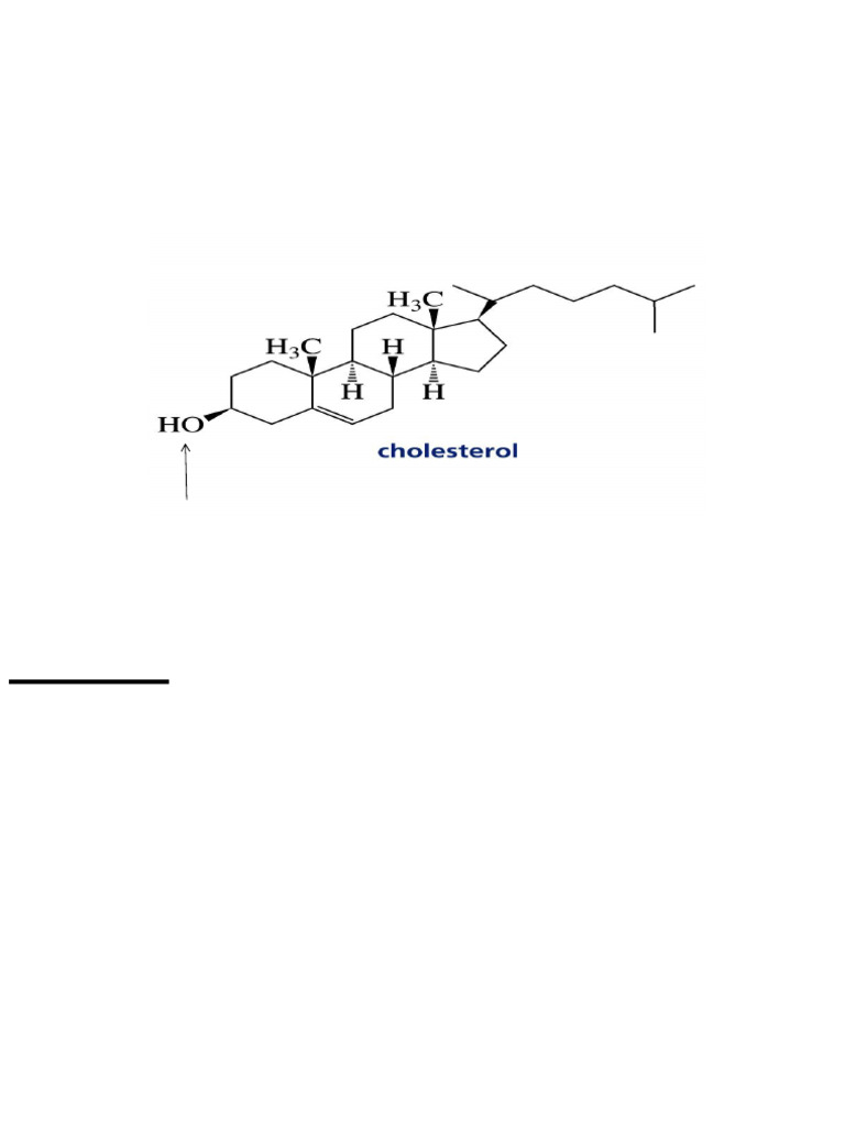 Cholesterol | PDF | Cholesterol | Molecular Biology