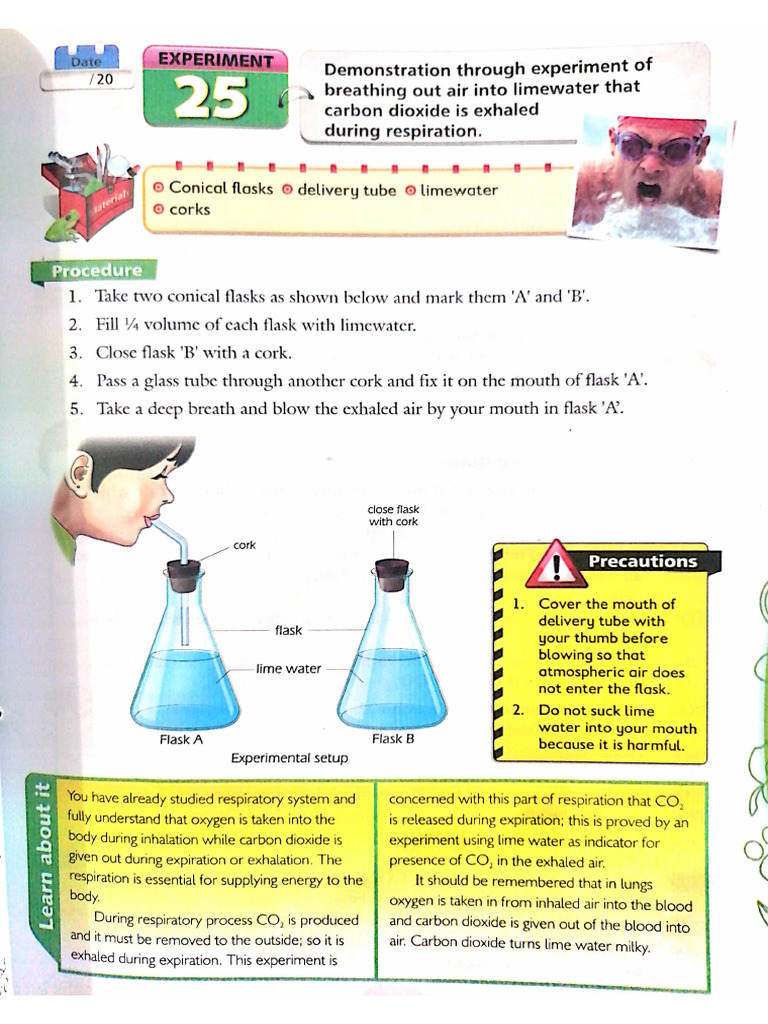Biology Practical Book | PDF