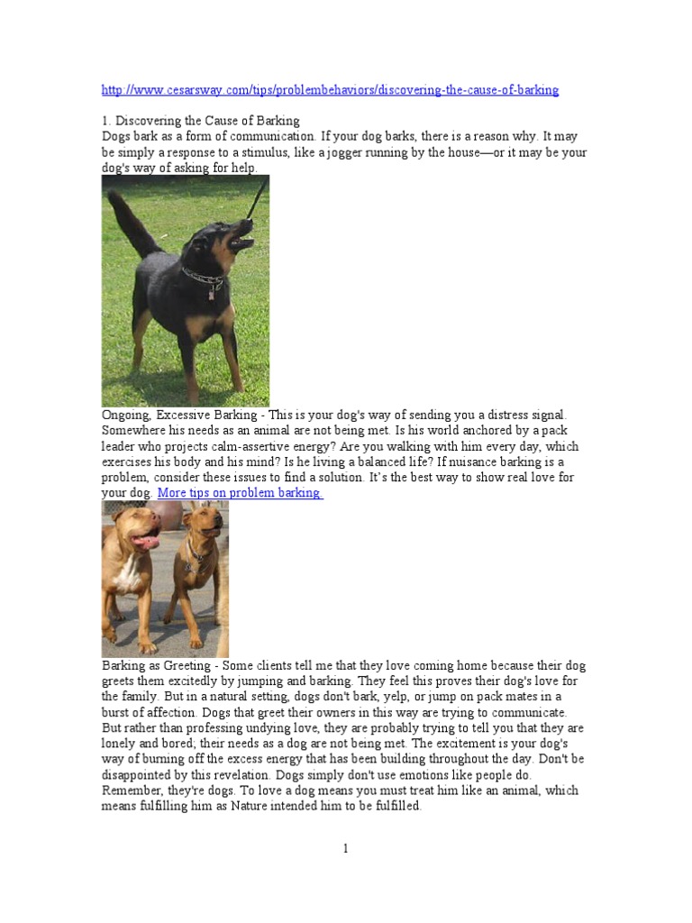 Cesar Millan | PDF | Dogs | Pack (Canine)