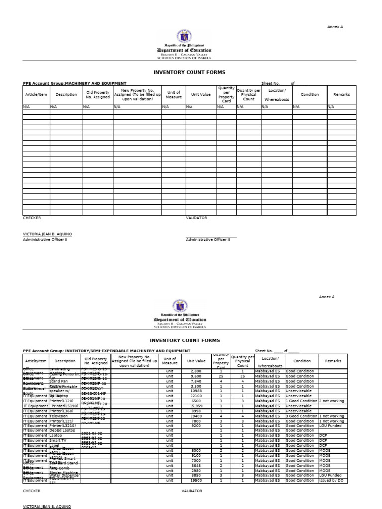 Mabbayad ES-Inventory-Count-Form-Annex-A | PDF | Inventory | Equipment