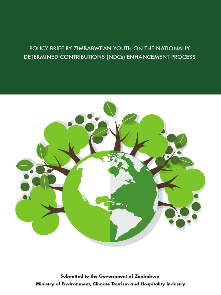 UNDP - ZW - Povred - Final Zimbabwe Youth Position Paper | PDF ...