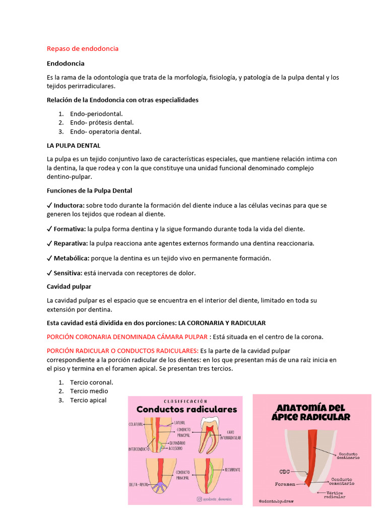 Repaso de endodoncia | PDF | Especialidades Medicas