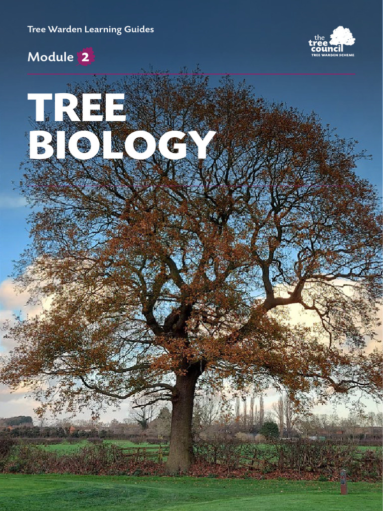 The Tree Council Module 2 Tree Biology | PDF | Trees | Flowers