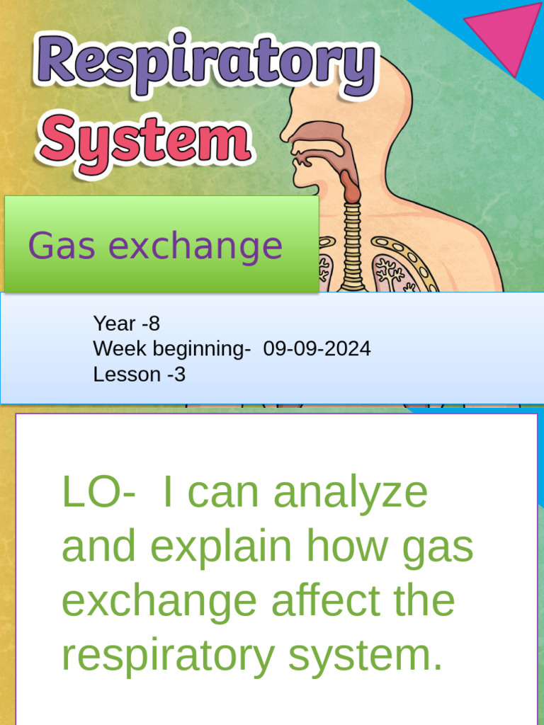 Lesson 3 Week - 3 Respiratory-System | PDF | Respiratory System | Lung