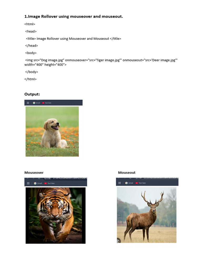 Exp11 1 | PDF | Computers