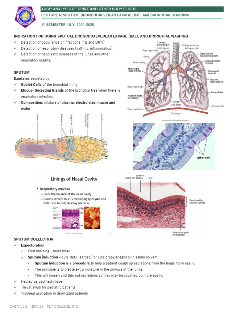 Lecture 6 Sputum, Bronchoalveilar Lavage (Bal), and Bronchial Washing ...