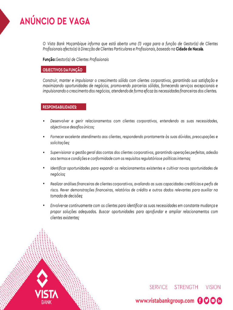 Gestor de Clientes Profissionais | PDF