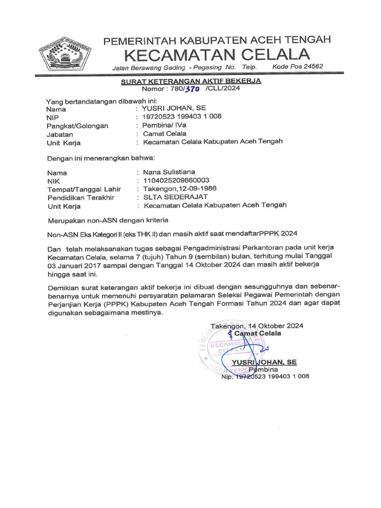 Surat Keterangan Aktif Bekerja, SPTJM Dan SK 2024 NANA | PDF