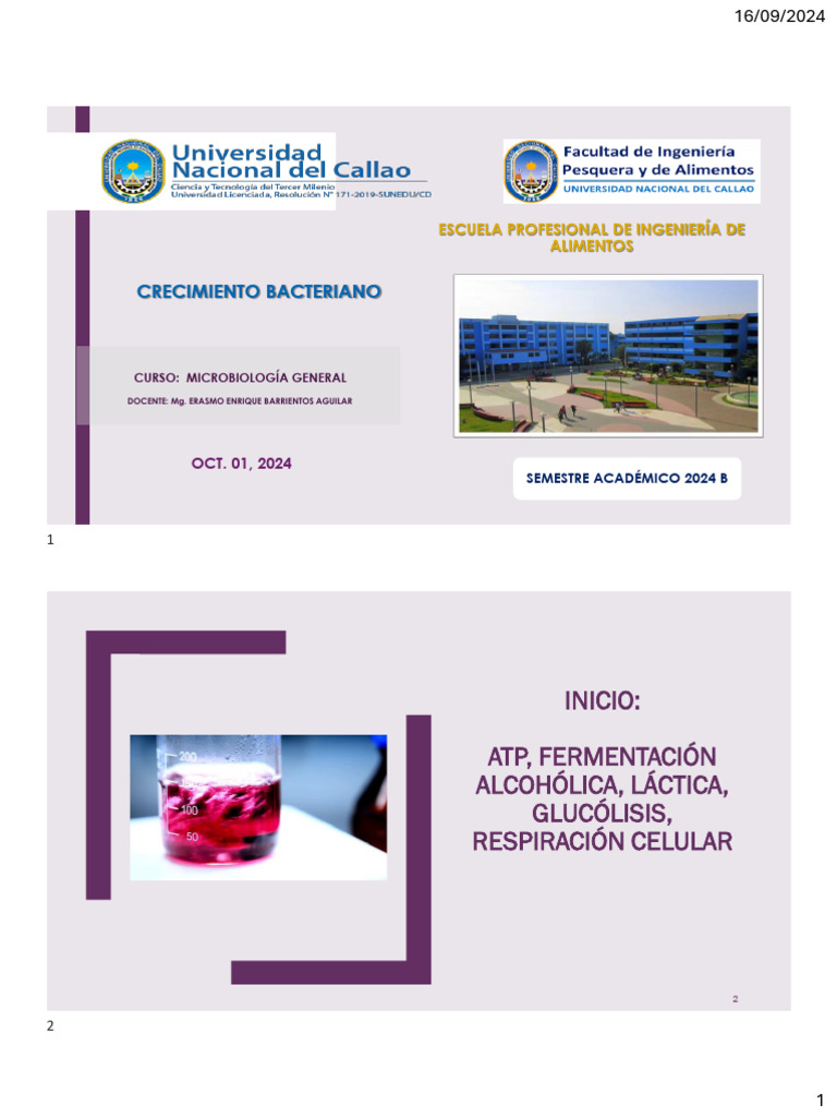 Fases y factores del crecimiento bacteriano | PDF | Las bacterias ...