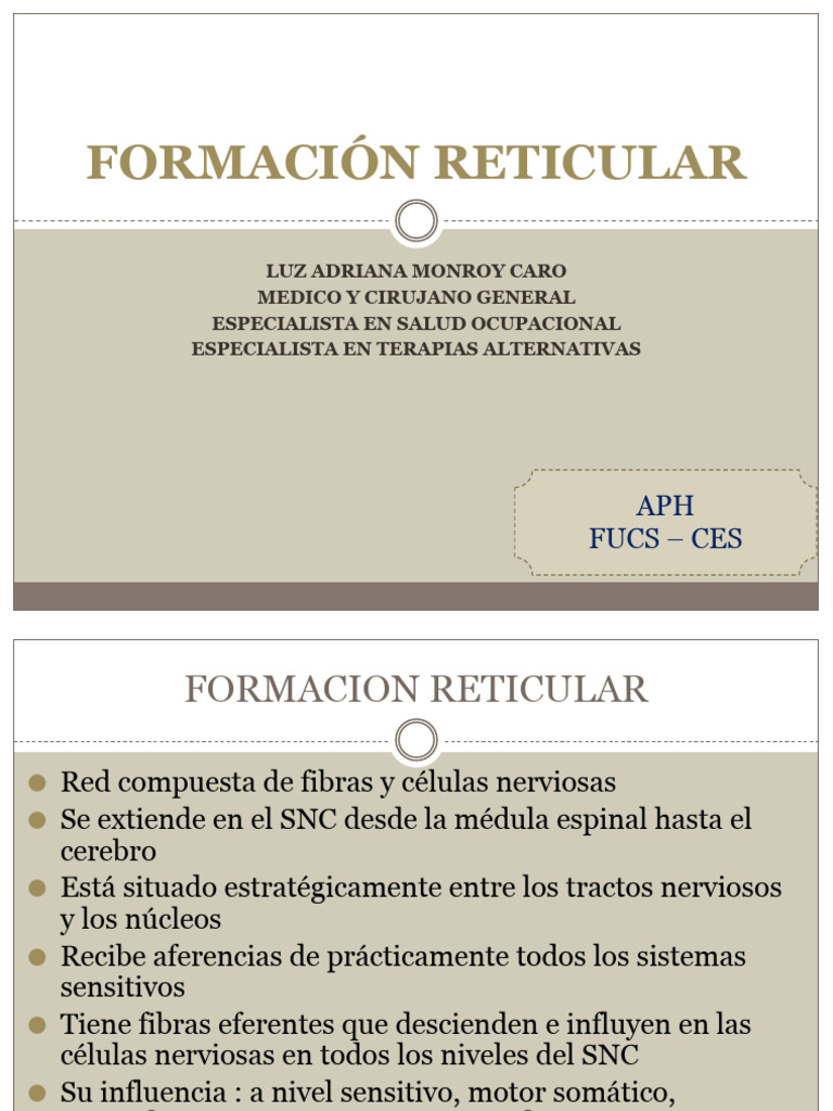Formación Reticular | PDF | Cerebro | Hipotálamo
