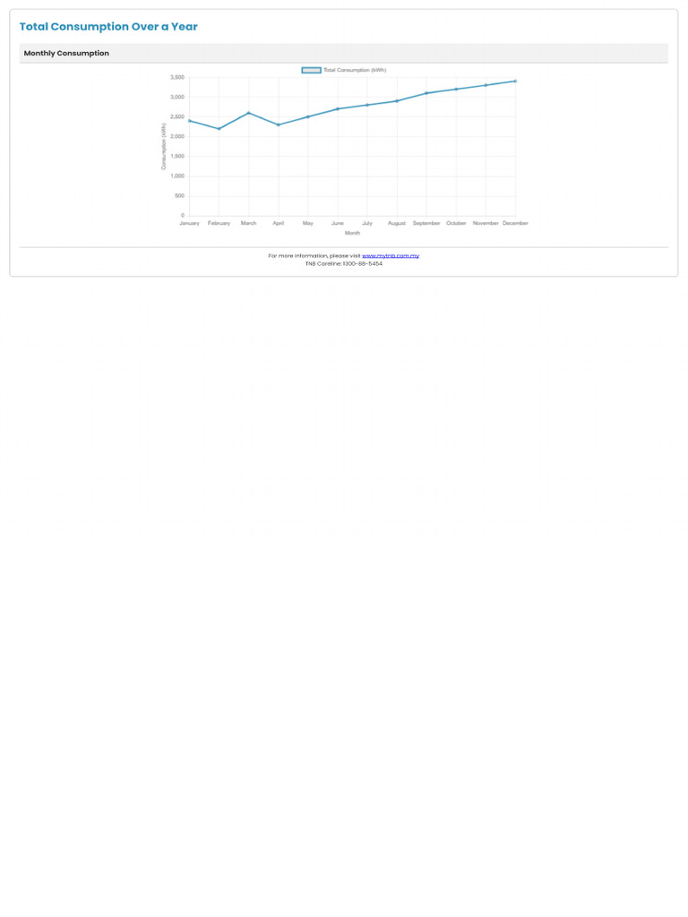 Total Consumption Report | PDF