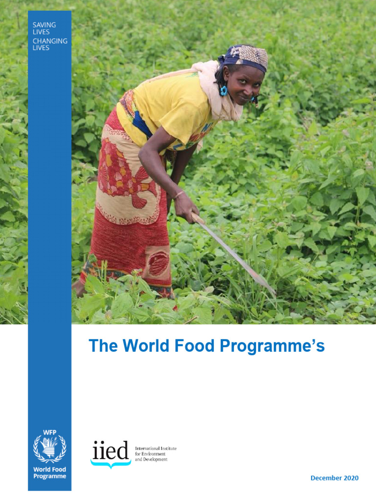 The World Food Programme's Contributions To Nature-Based Solutions ...