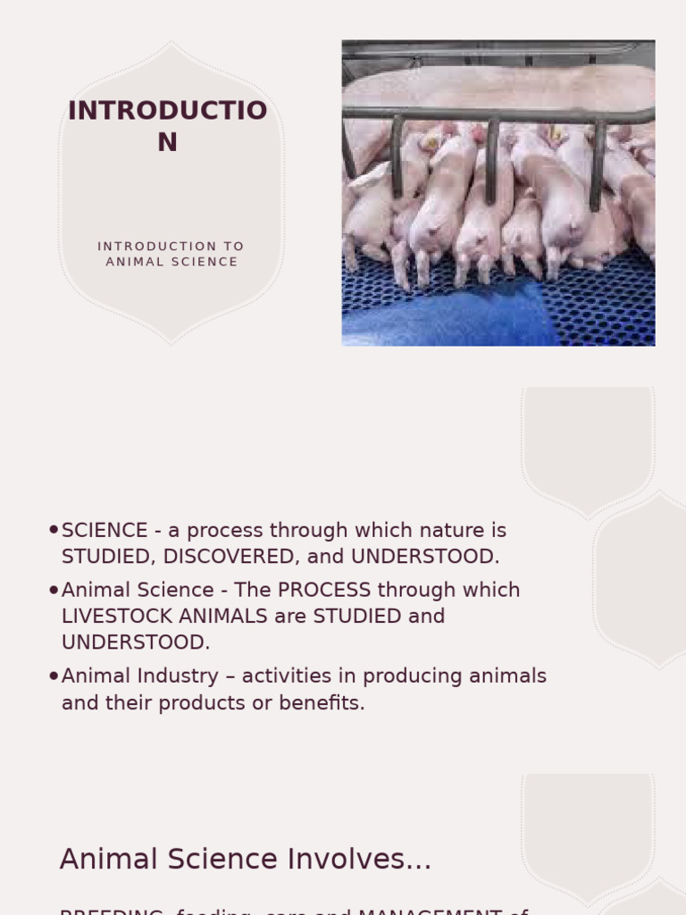 Introduction To Animal Science | PDF | Domestication | Sheep