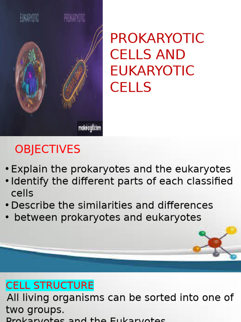Eukaryotic and Prokaryote Science - 7 2 | PDF | Cell (Biology) | Prokaryote