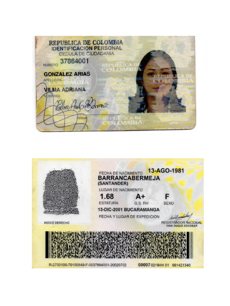 Documento Vilma | PDF