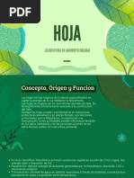Características del Limbo de la Hoja | PDF | Hoja | Botánica