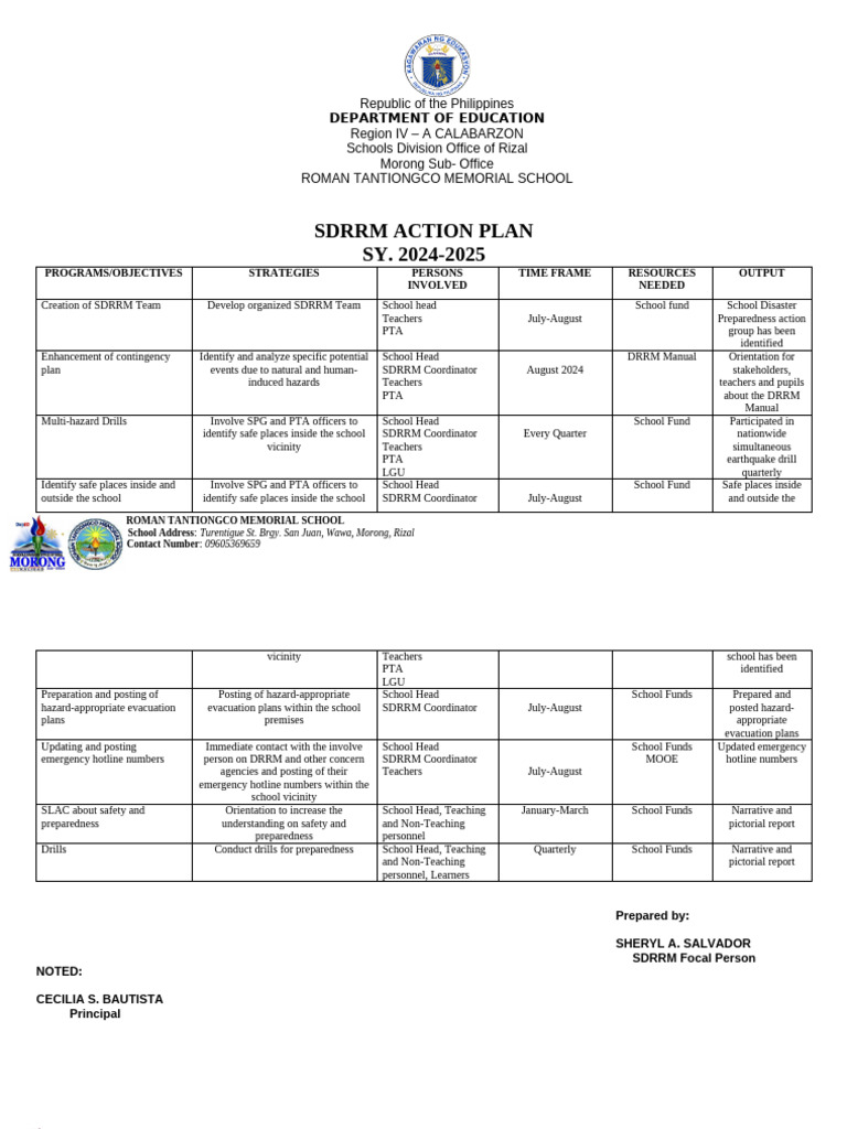 2024 2025 DRRM Action Plan | PDF | Emergency Management | Risk