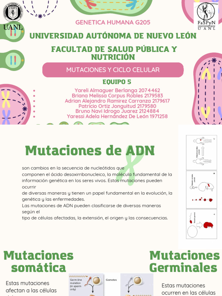 Mutaciones Eq5 | PDF | Gene | Mutación