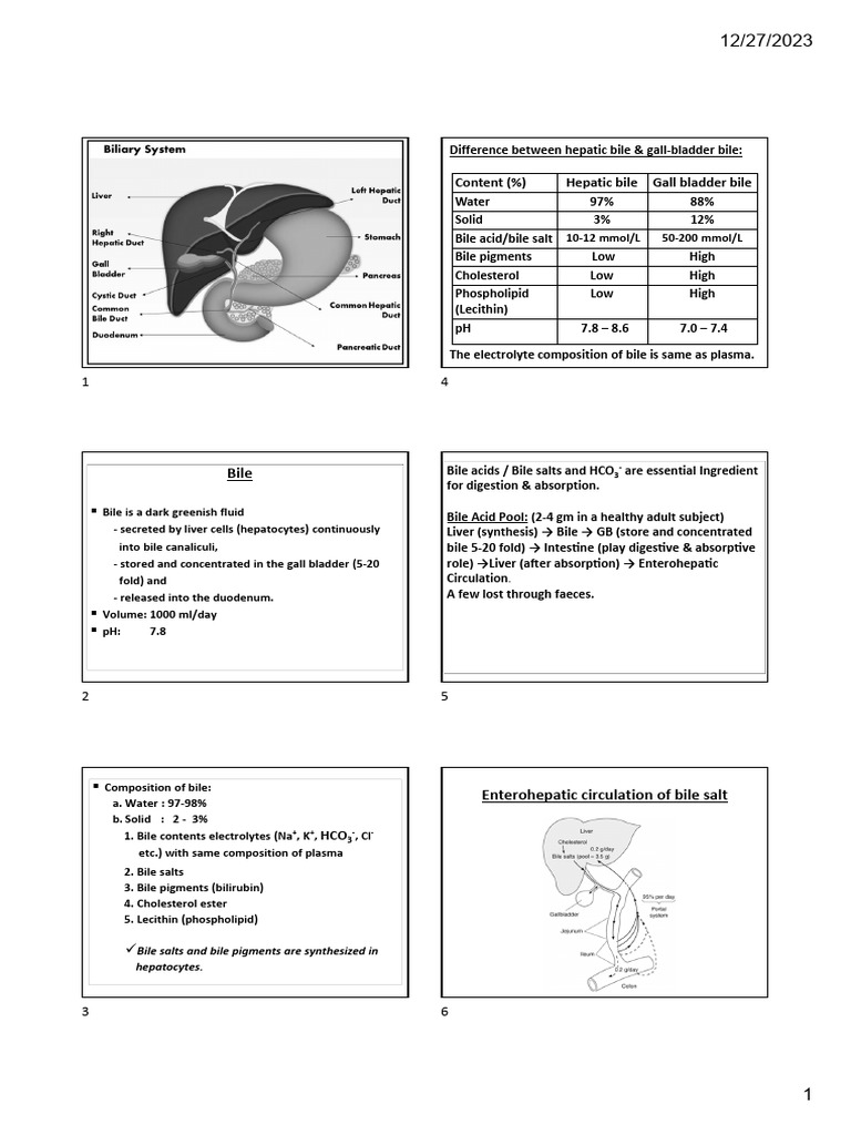 Bile Composition and Functions Explained | PDF | Bile | Liver