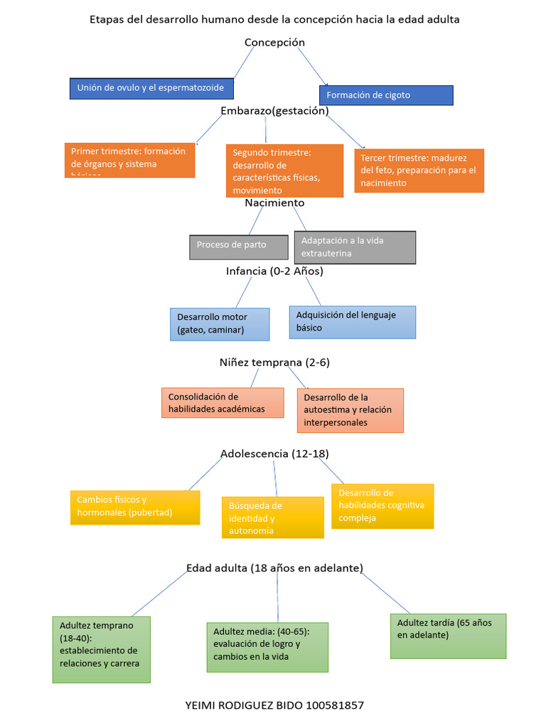 Etapas de La Vida y | PDF | Adultos | El embarazo