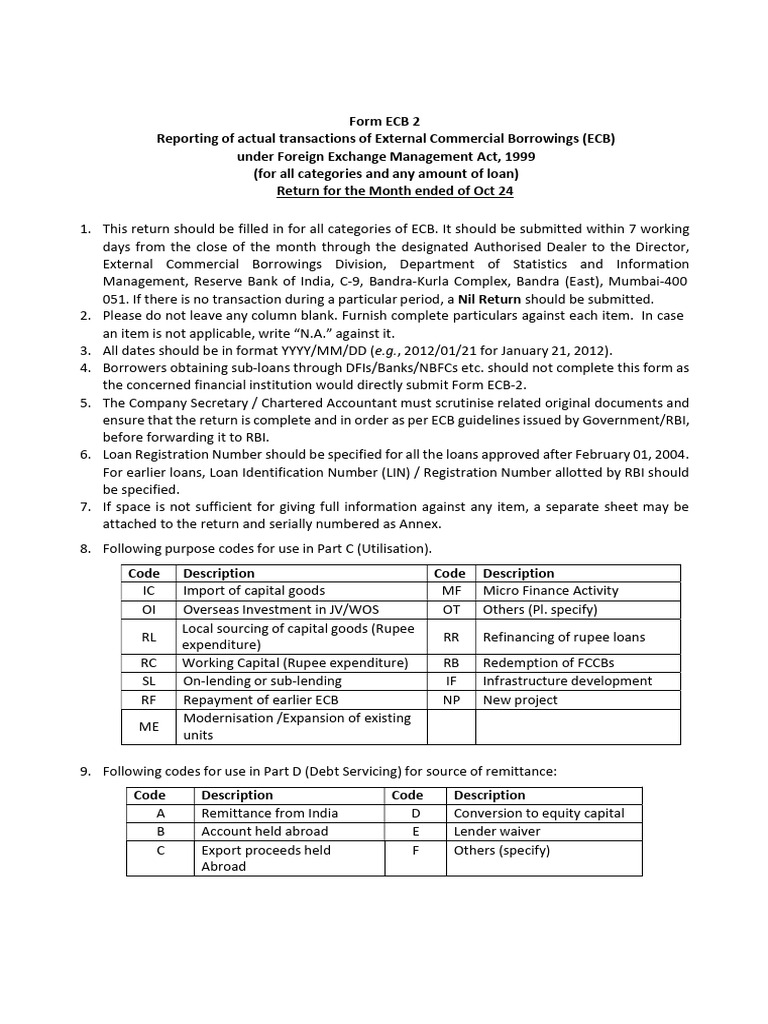 ECB Reporting for Selsom Technologies | PDF | Debt | Loans