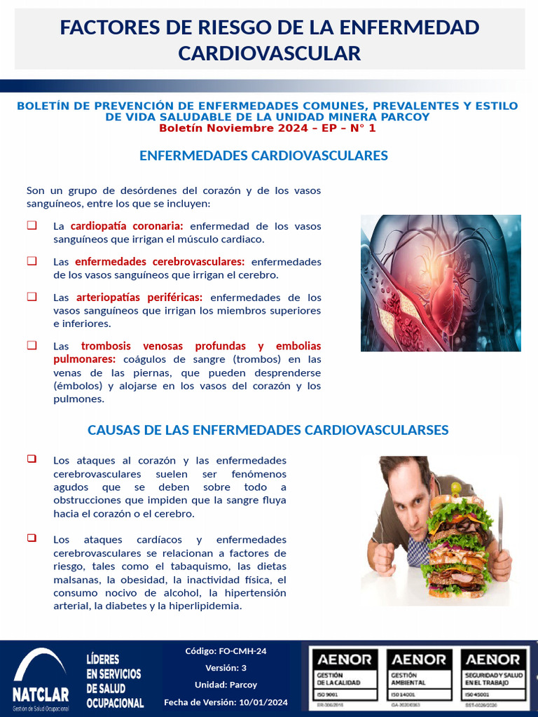Boletín Noviembre 2024 - EP - #1 | PDF | Trombosis | Infarto de miocardio