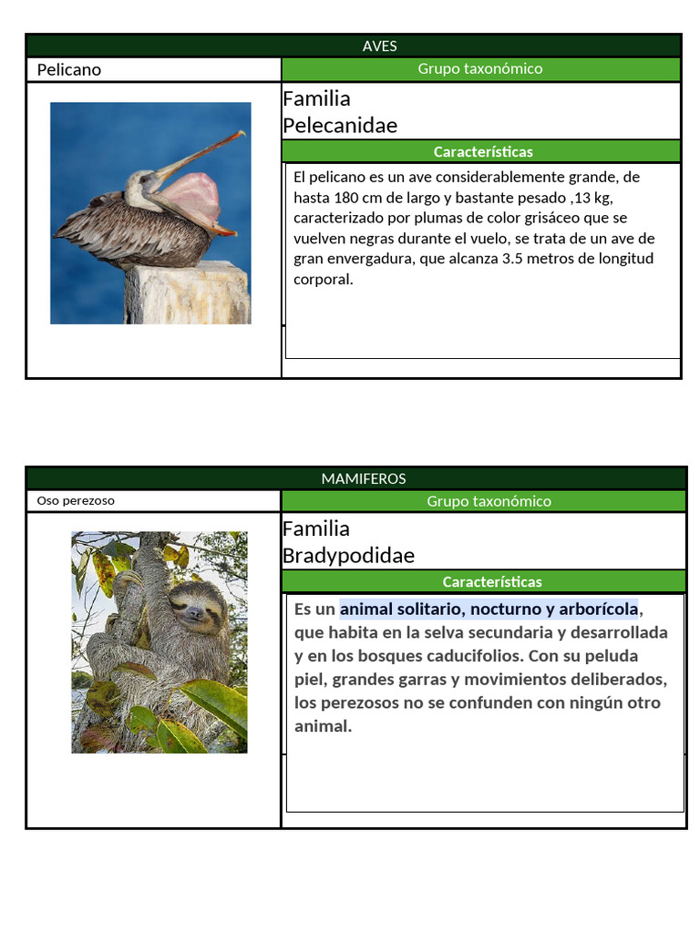 Ficha Museo de Zoologia Aves y Mamiferos | PDF