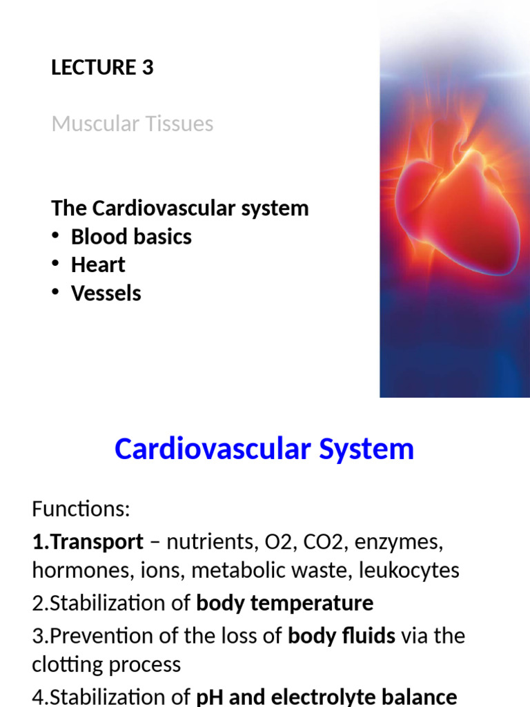 Cardiovascular System Overview and Blood Types | PDF | Connective ...