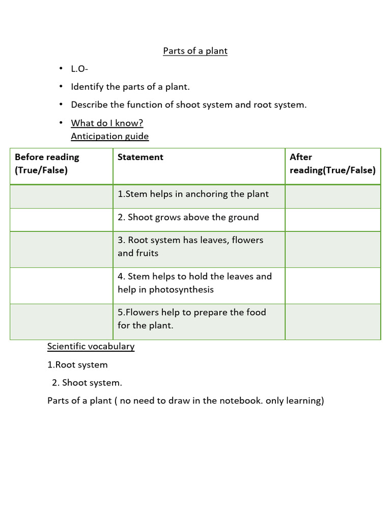 Parts of A Plant Class Work | PDF