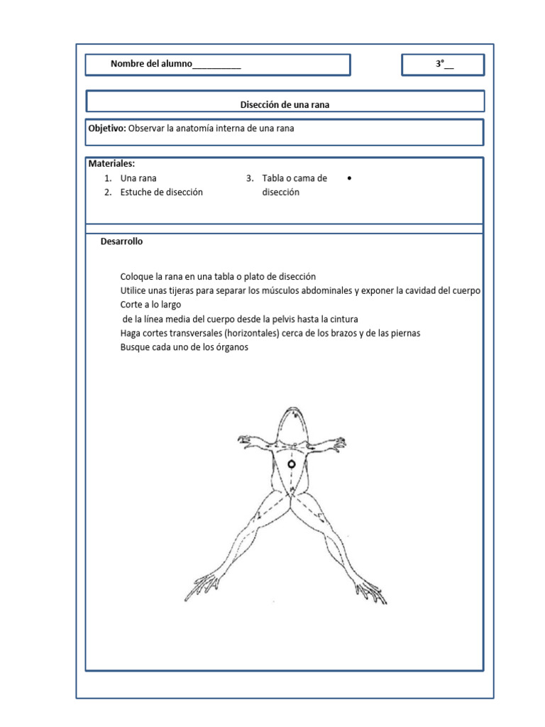 Diseccion de Una Rana | PDF