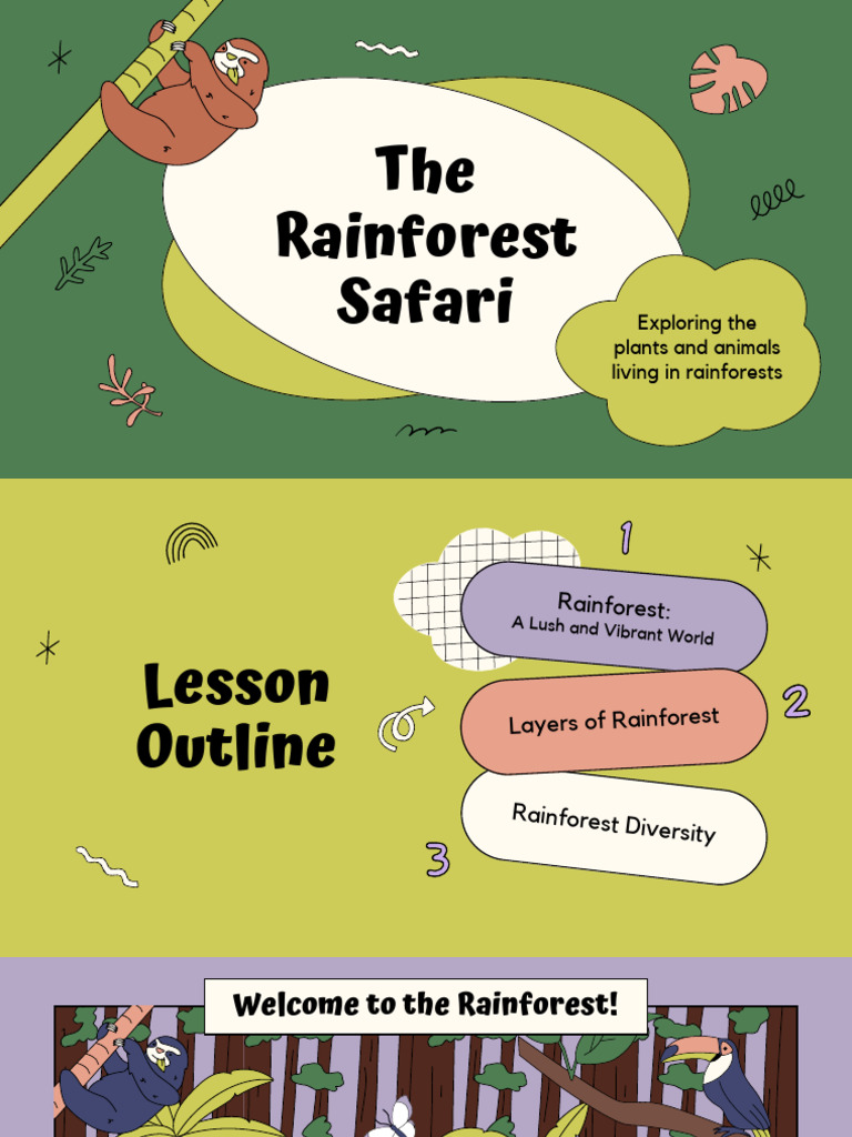 Rainforest Habitat Presentation | PDF | Rainforest | Organisms