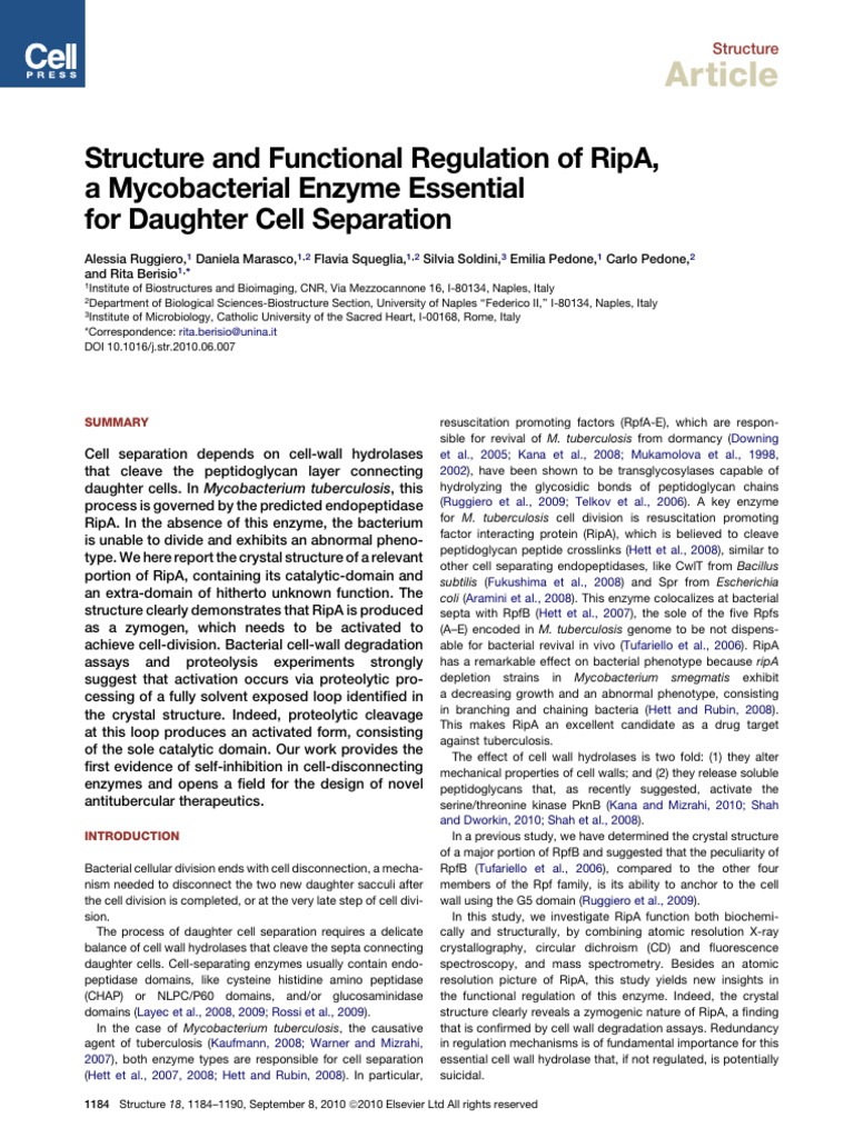Structure and Functional Regulation of RipA, A Mycobacterisl Enzyme ...