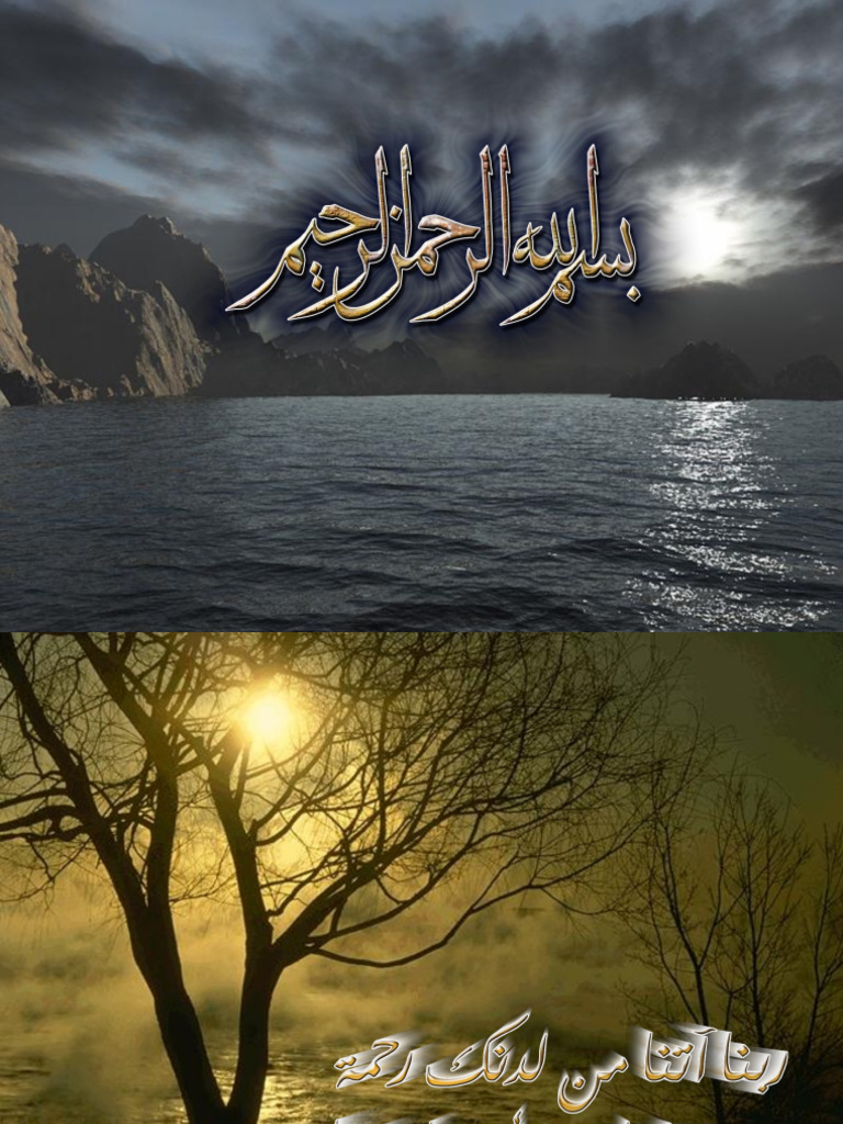 11 - Force Acting On RPD II - abo-2024-AST-1 | PDF