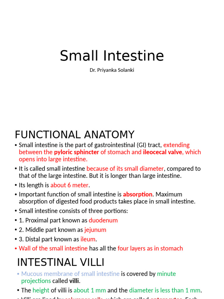 Small Intestine Pdf Small Intestine Gastrointestinal Tract