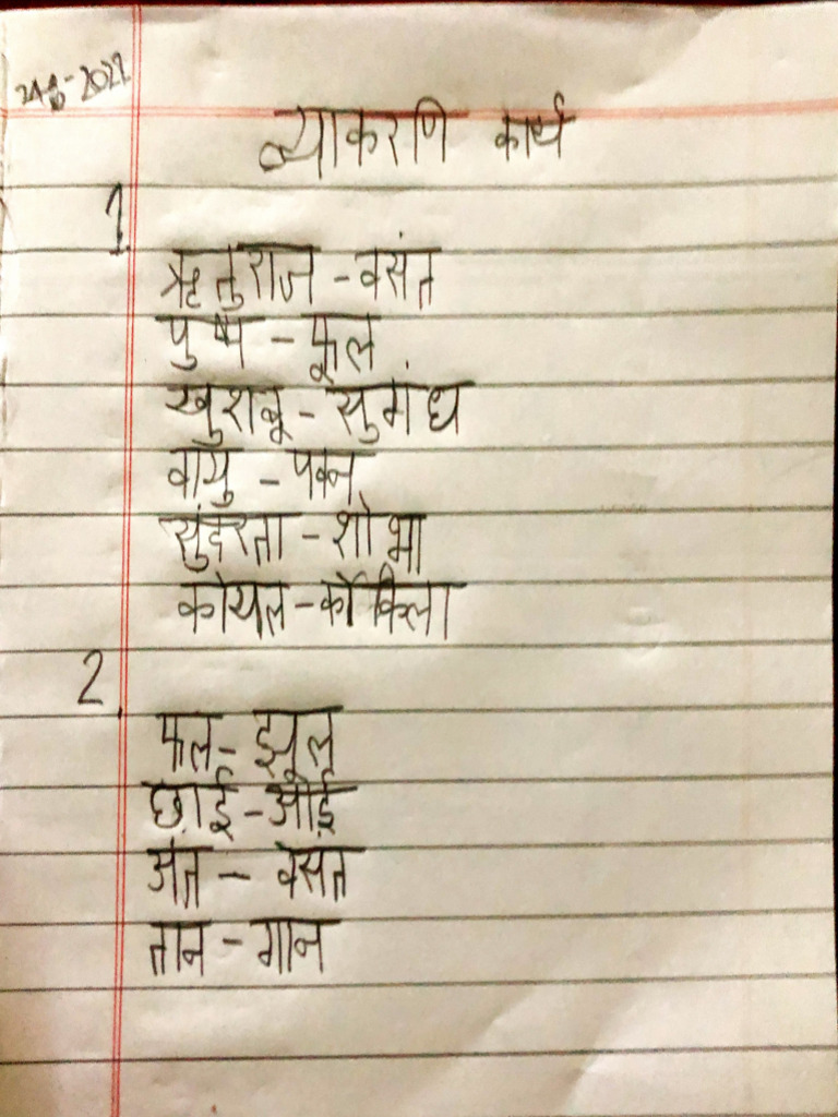 Akash Hindi Homework | PDF